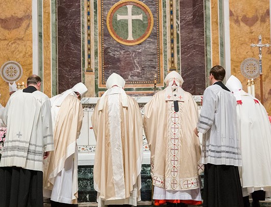 The Bishop’s Job, The Secret To Sparking A Catholic Renewal, A Habit of ...