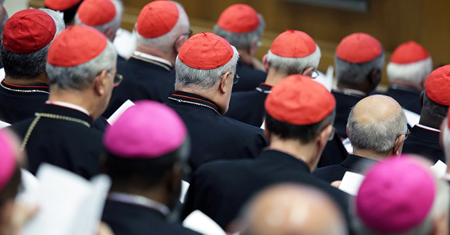 What Happened at the Synod and Why It Matters| National Catholic Register