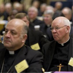 What a Bishops' Conference Should Be| National Catholic Register