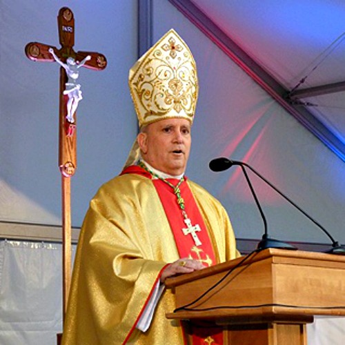 Archbishop Aquila: Media Missed Message of Joy at Synod| National ...