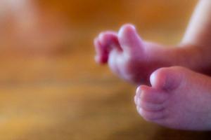 Emily Brandenburg - NCRegister