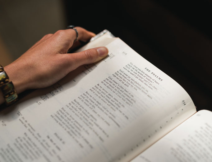 Reading the Good Book: How to Pore Over the Entire Bible in 365 Days ...