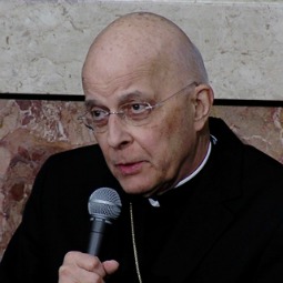 Report: Vatican Begins Search for Cardinal George’s Successor| National ...