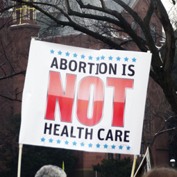 Pro-Life Pioneers, 40 Years After 'Roe'| National Catholic Register