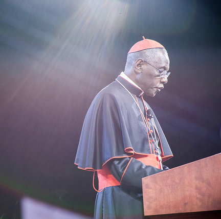 Cardinal Sarah: ‘The Family Is the Wellspring of Hope’| National ...