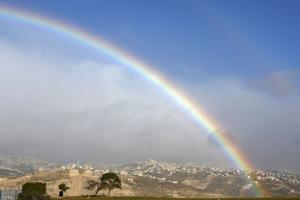 Michele Chabin - NCRegister