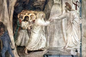 We Are Not at Home in the World| National Catholic Register