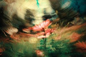 Mary Farrow - NCRegister