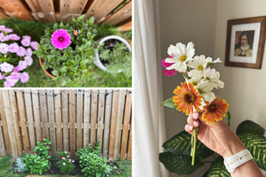 How the Little Flower Has Taught Me to Love More — and Live in the ...