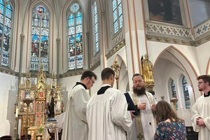 Why Our Lady of Mount Carmel Gave Us the Brown Scapular| National ...