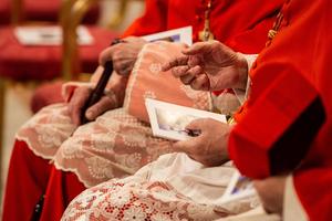 Tokyo’s Cardinal-Elect Kikuchi Is a Missionary, Manager and Papabile ...