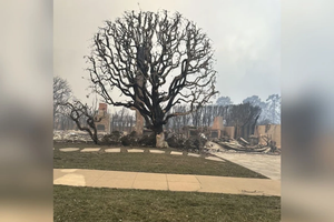 Prayer and Fasting| National Catholic Register