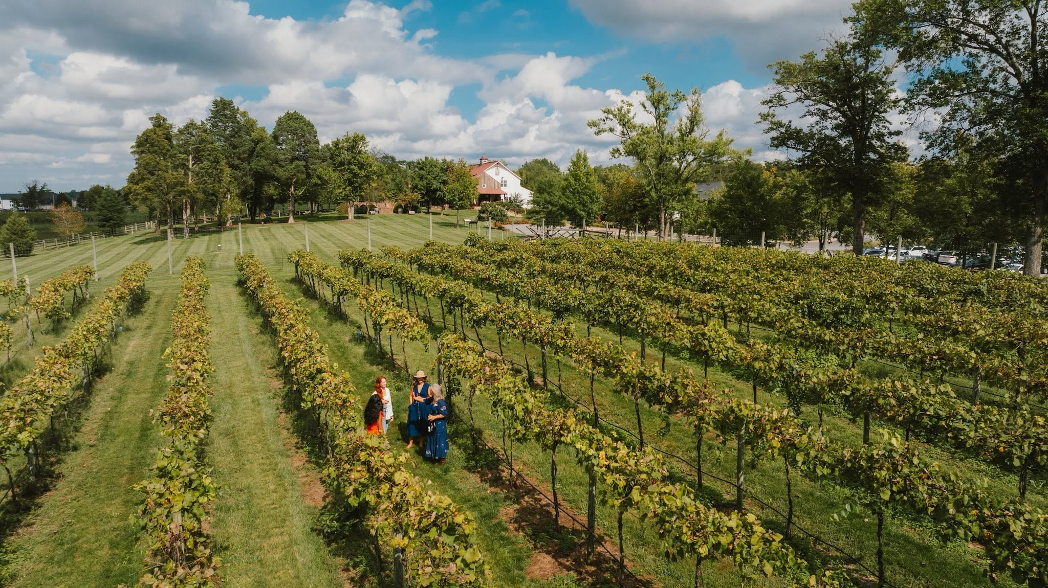 ‘Faith Through Friendship’: How DC Social Collective Is Building Young ...