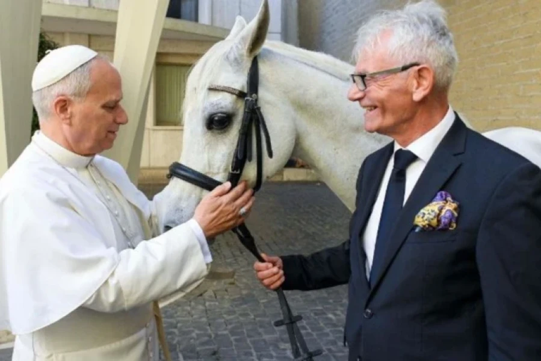 Pope Leo Gifted With ‘Proton,’ a Purebred Arabian Horse| National ...