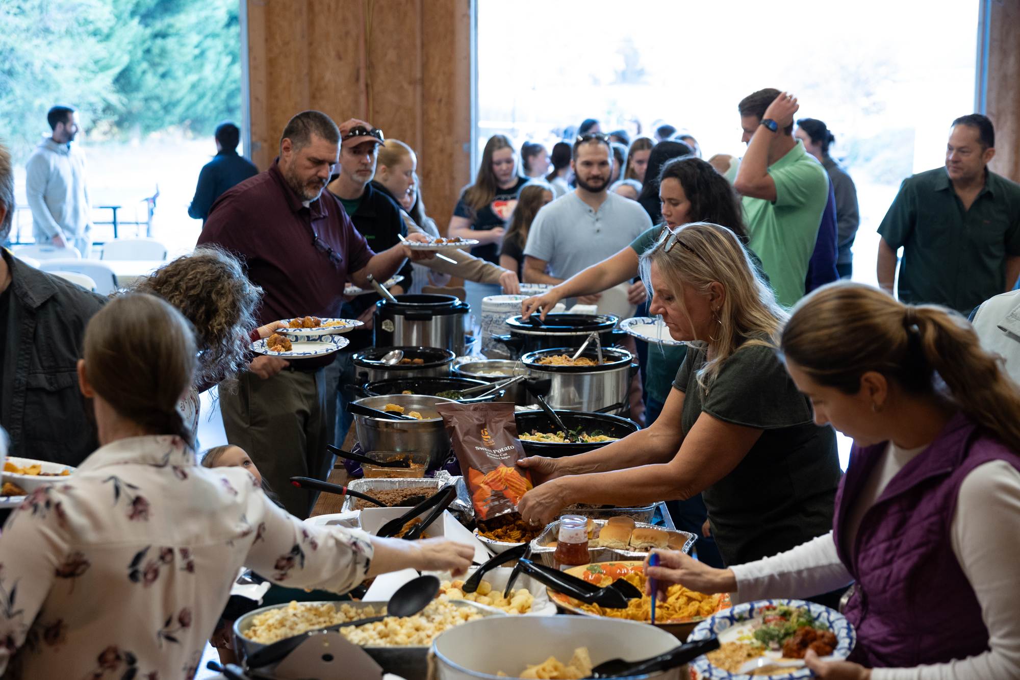 New Catholic Hubs: Greenville, South Carolina, Traditional Faith Haven ...