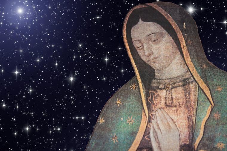 Does Our Lady of Guadalupe’s Tilma Still Speak to Us Today?| National ...