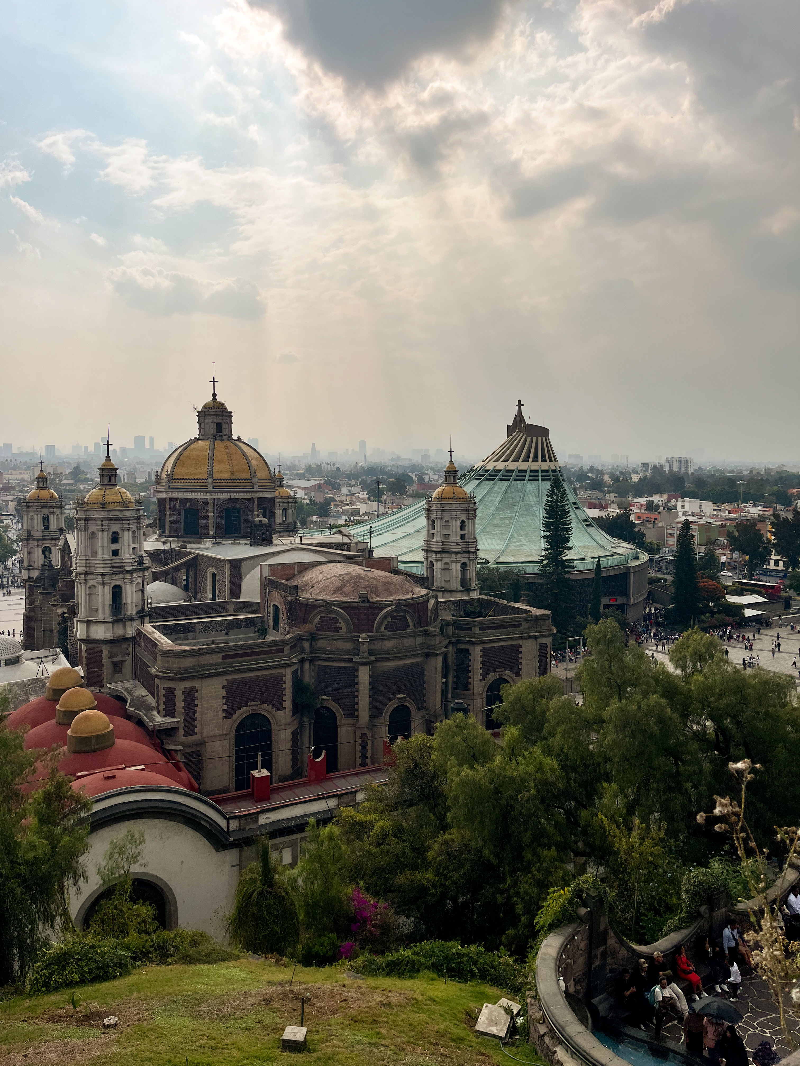 A Rose From Mary: What Our Lady of Guadalupe Taught Me on Pilgrimage ...